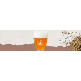 American Amber Ale