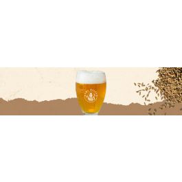 American IPA